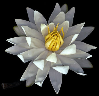 Introduction | katinkamatson