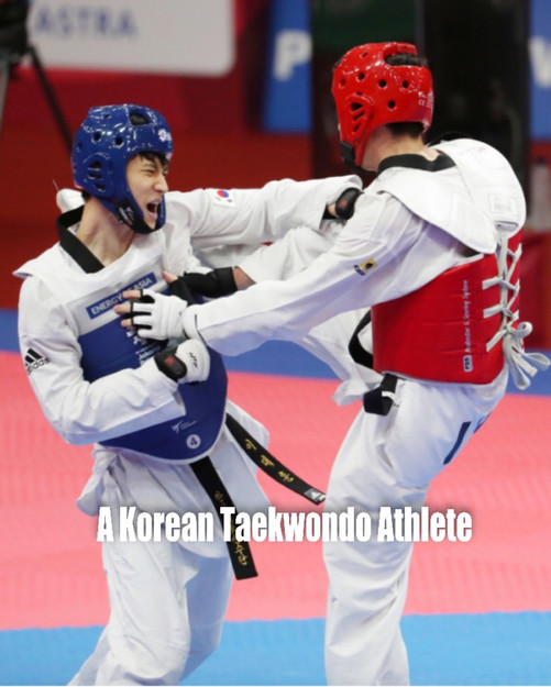 LEE DAE HOON Taekwondo Tour | The Planet Jeju.co.,ltd
