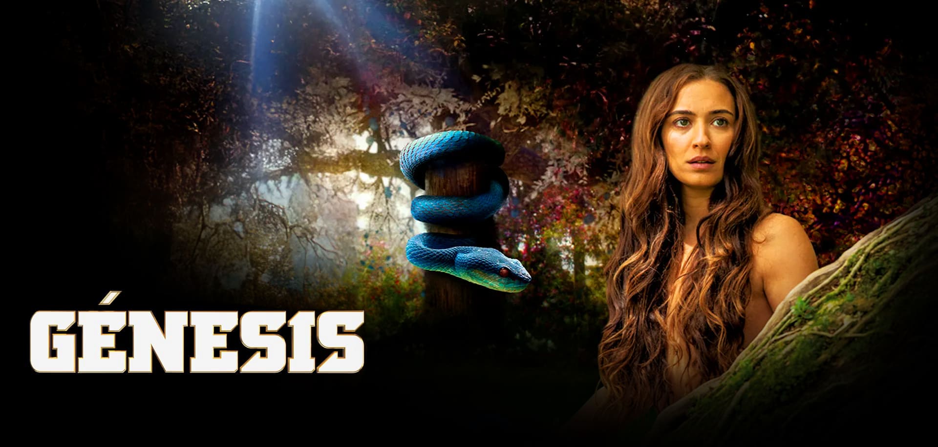 Banner Génesis