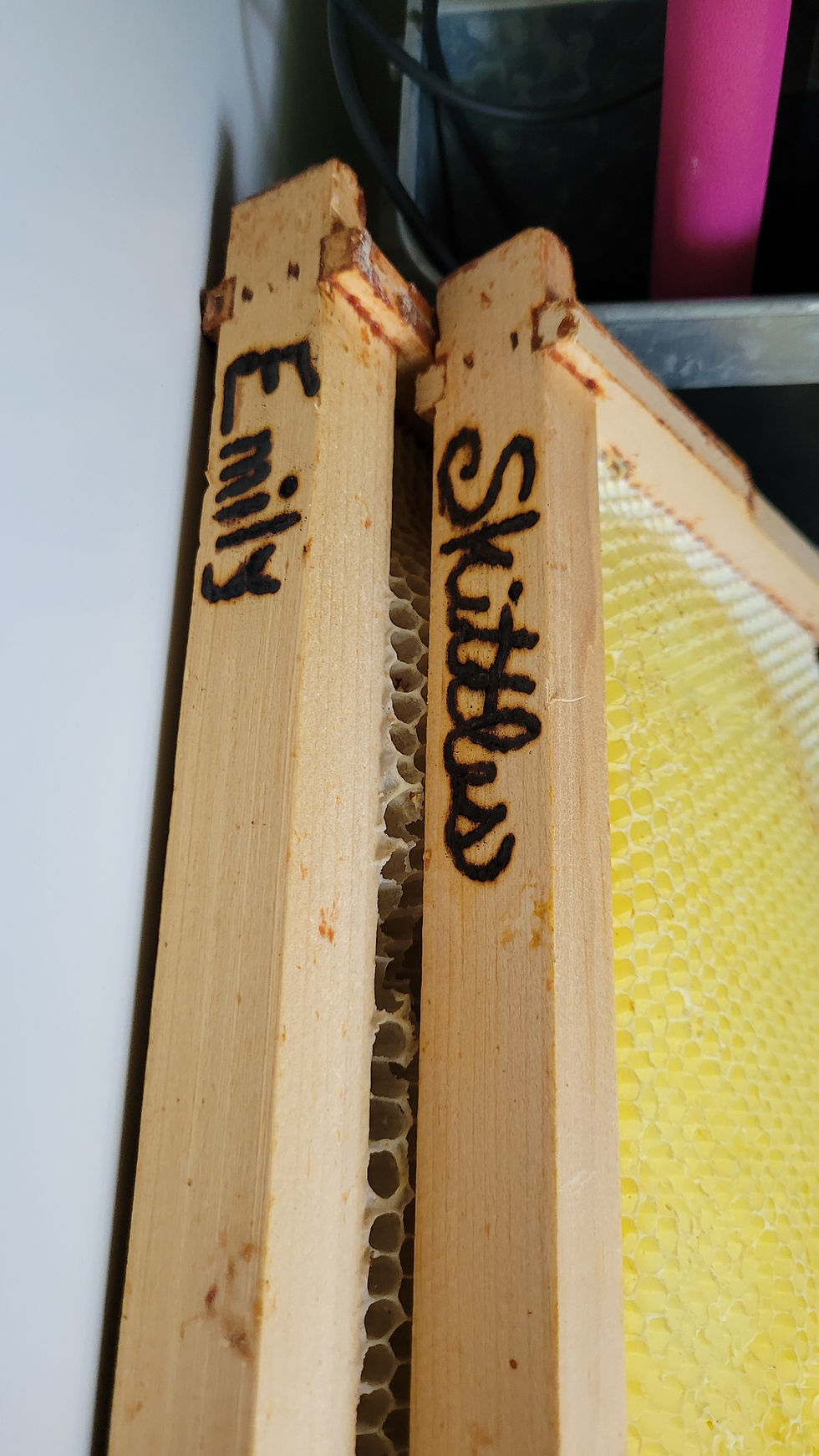 Name A Frame Natural Bee Name A Frame Natural Bee
