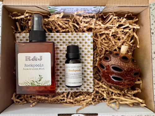 Banksia Pod Diffuser Set for Aromatherapy | Essential Oils