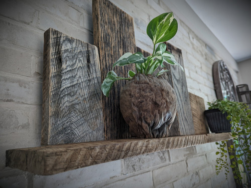 'Dakota' Rustic Wall Art | Banyan Tree Studio