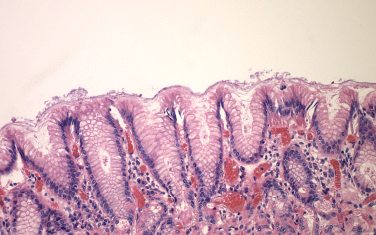 Home | Pathology Reference Laboratory