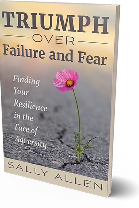 My Book | Sally Allen Executiv