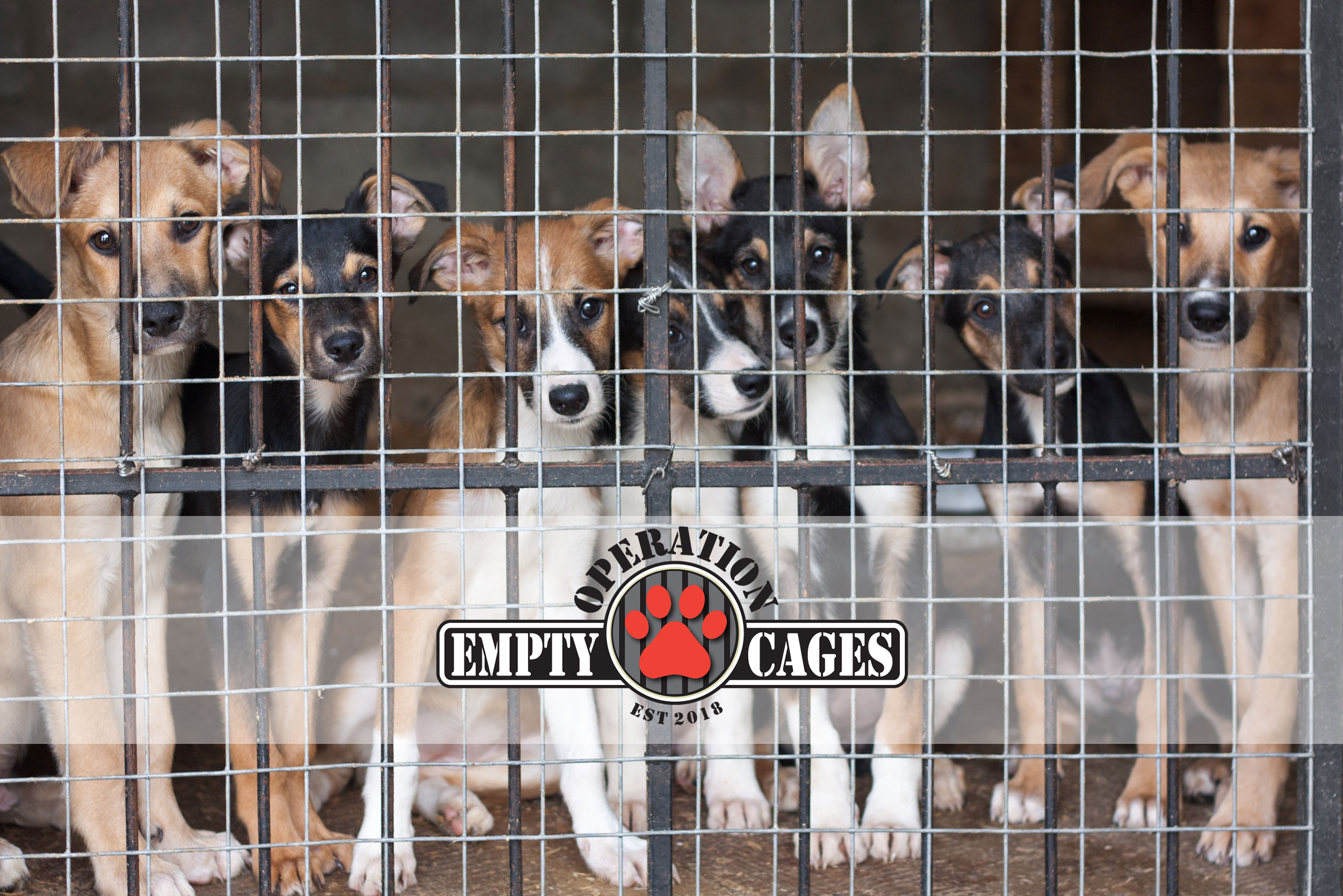 OperationEmptyCages | Support Us