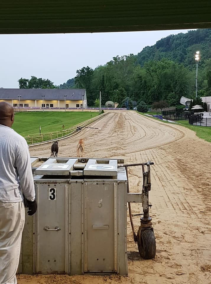 Tristate Brags | National Greyhound