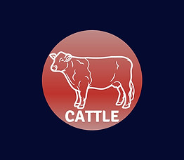 Competition Schedule | Emerald Show Society