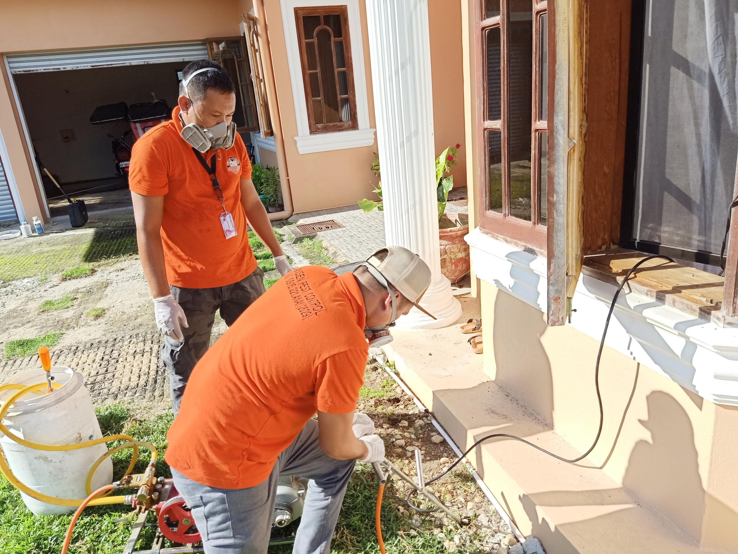 Termite Control | Jansen Pest Control