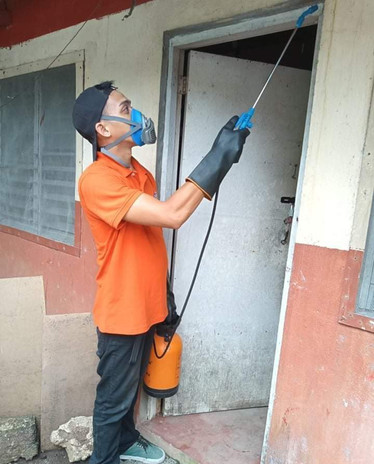 Termite Control | Jansen Pest Control