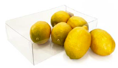 Lemons x 6 per pack | Vintage Vista