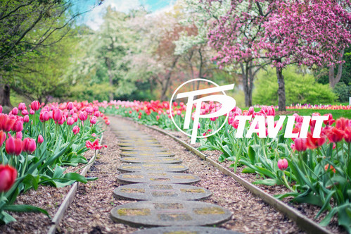 TAVLIT Fittings & Barbed Pipe Fittings | HWS Shop