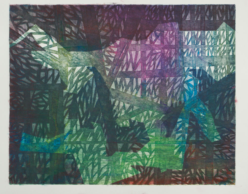 Printmaking | Daniel Rothenberg