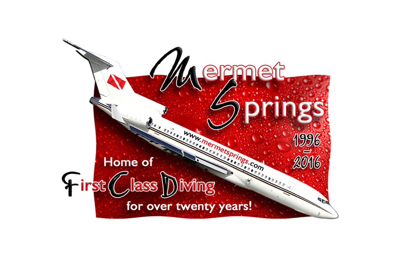 Mermet Springs - Scuba Dive | learn to scuba dive | 6724 U.S. Hwy 45 ...