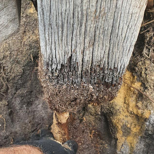 House Restumping Perth | Rural Restumping Wa | Falcon