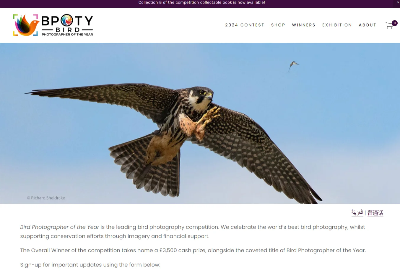 Best Wildlife Photography Competitions to Showcase Your Passion