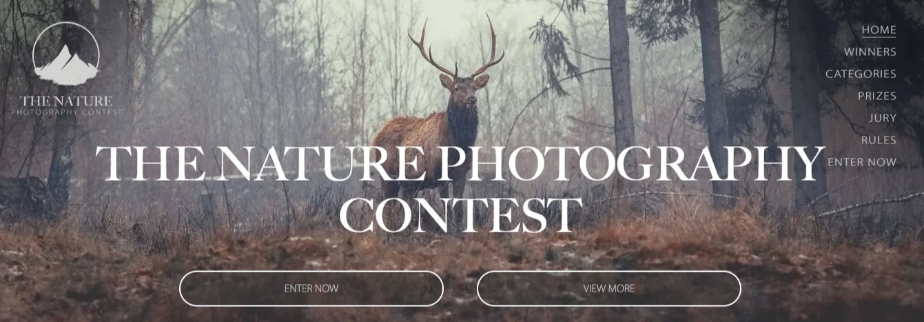 Best Wildlife Photography Competitions to Showcase Your Passion