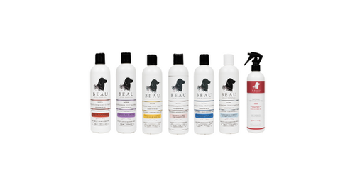 Professional Sample Pack 5 | Beau Essentials