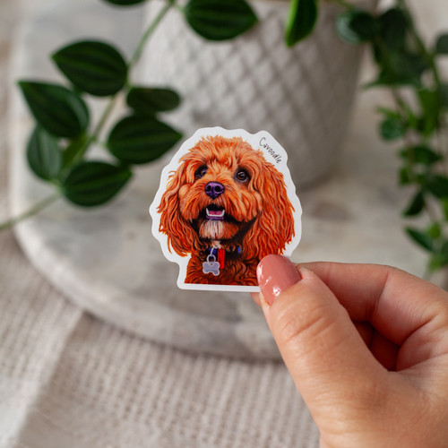 Cavoodle VII - Sticker | MJW Pets + Wildlife