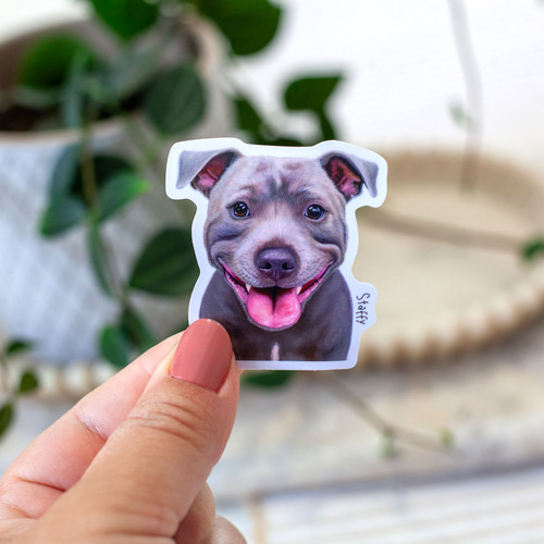Staffy I - Sticker | MJW Pets + Wildlife
