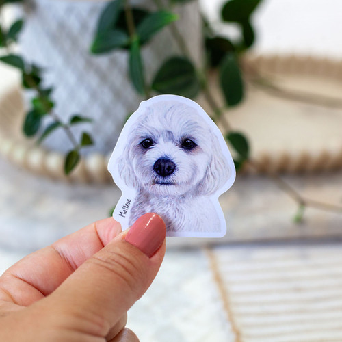 Maltese I - Sticker | MJW Pets + Wildlife