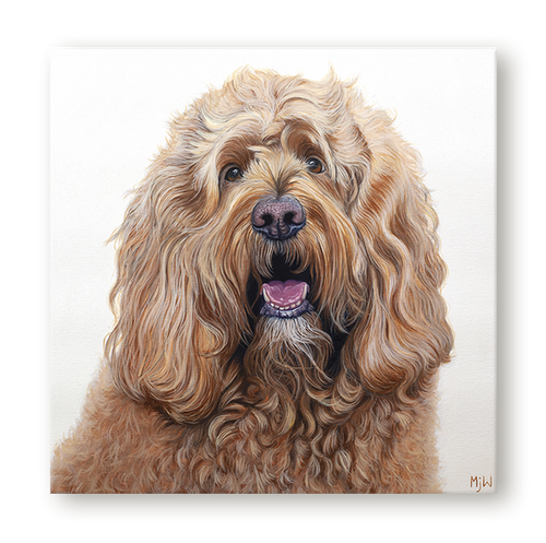 Archie | Wildlife Art + Pet Portraits by MJW
