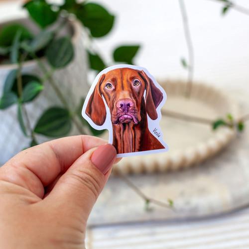Vizsla I - Sticker | MJW Pets + Wildlife