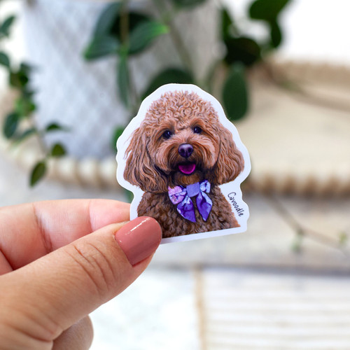 Cavoodle I - Sticker | MJW Pets + Wildlife