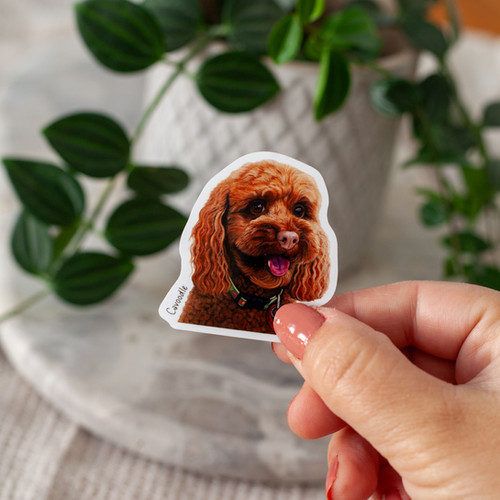 Cavoodle IIII - Sticker | MJW Pets + Wildlife