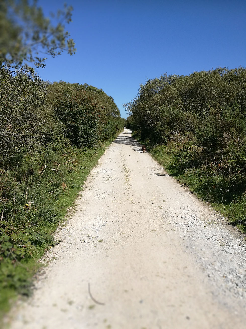 EXPLORE GOSS MOOR | Goss Moor Touring