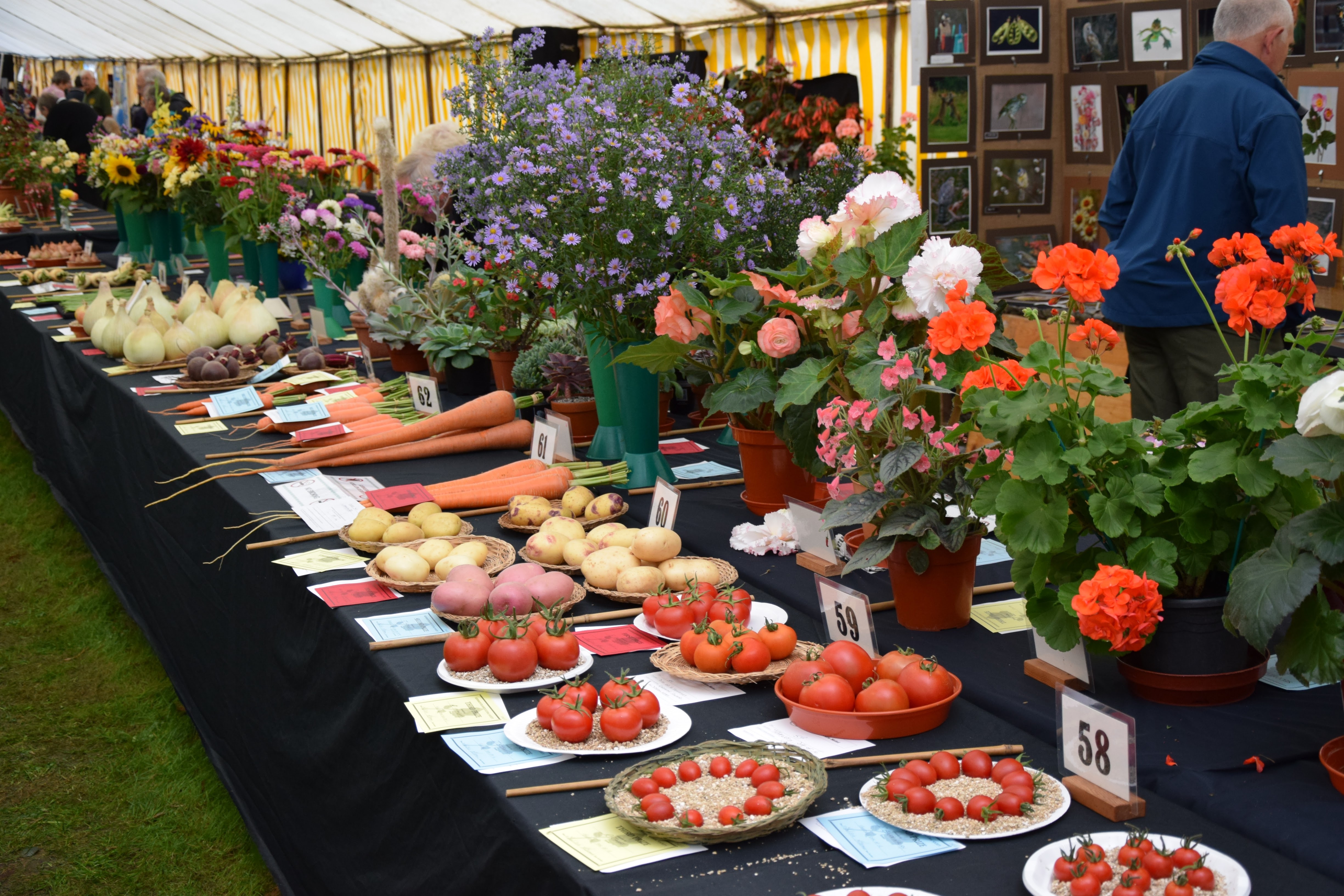 Kidderminster Horticultural Society | KHS Annual Show