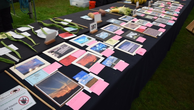 Kidderminster Horticultural Society | KHS Annual Show