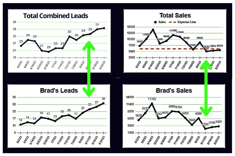 The Best CEO Dashboard Design for Small Businesses (with examples!)