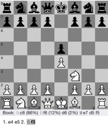 Chess Openings: Exploring the Foundations of a Successful Game