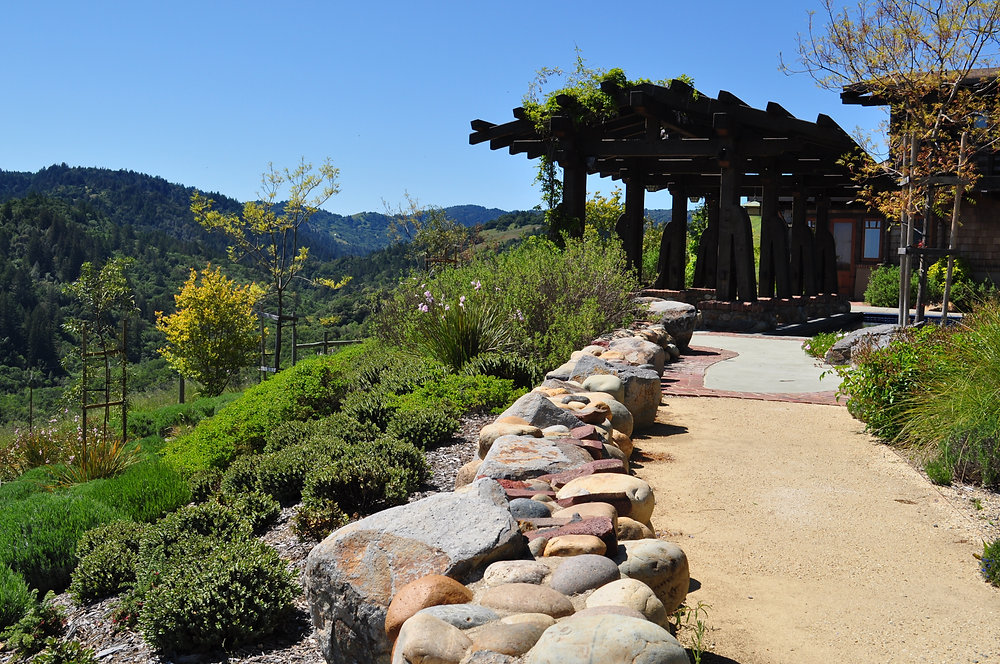 The Benefits of a Healthy Landscape