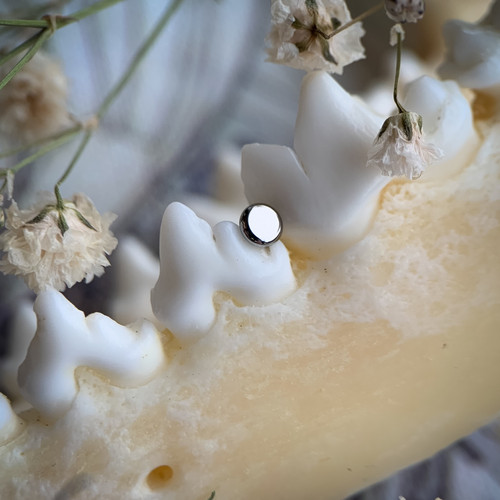 Anatometal Ti Disk | The Gold Starling