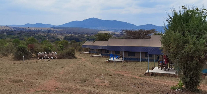 Mara Fisi Camp