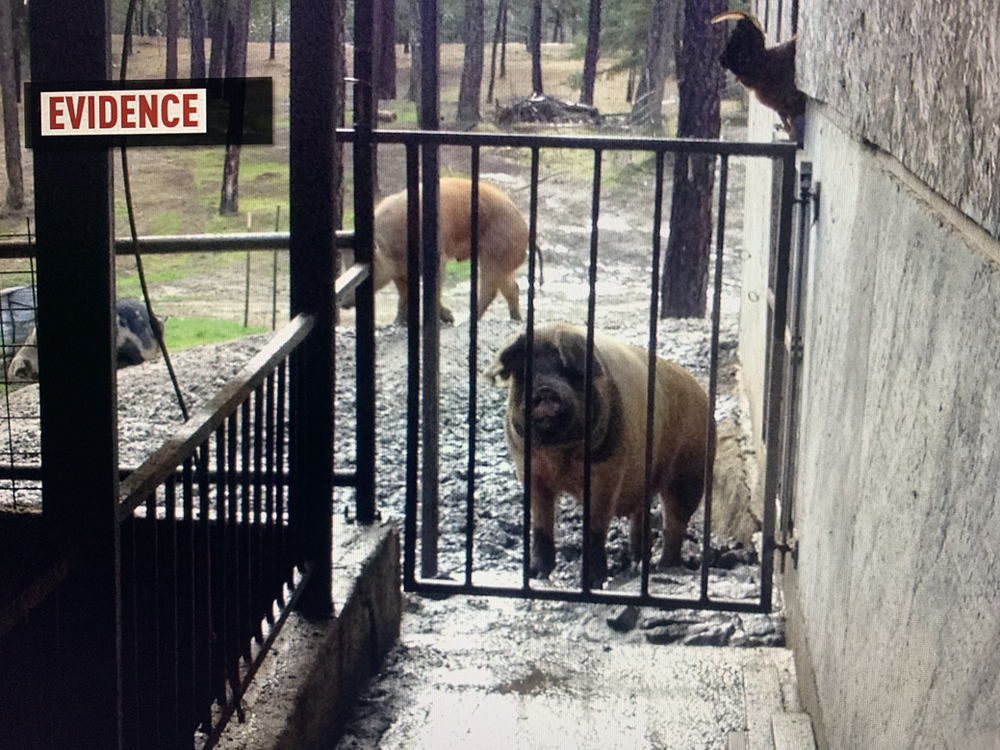 Episode 64: X Marks The Spot