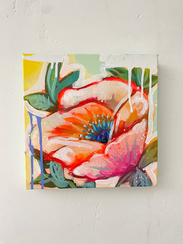 Mini Burst 1 | sierraevans.com