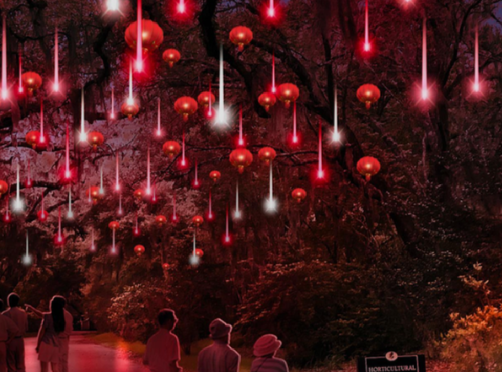 Magnolia Plantation & Gardens: Camellia Walk & Lights of Magnolia