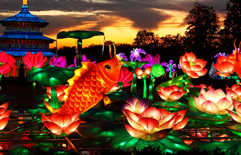 Magnolia Plantation & Gardens: Camellia Walk & Lights of Magnolia