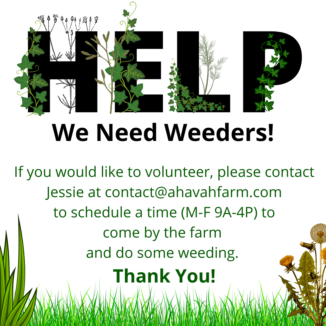 We Need Your Help!