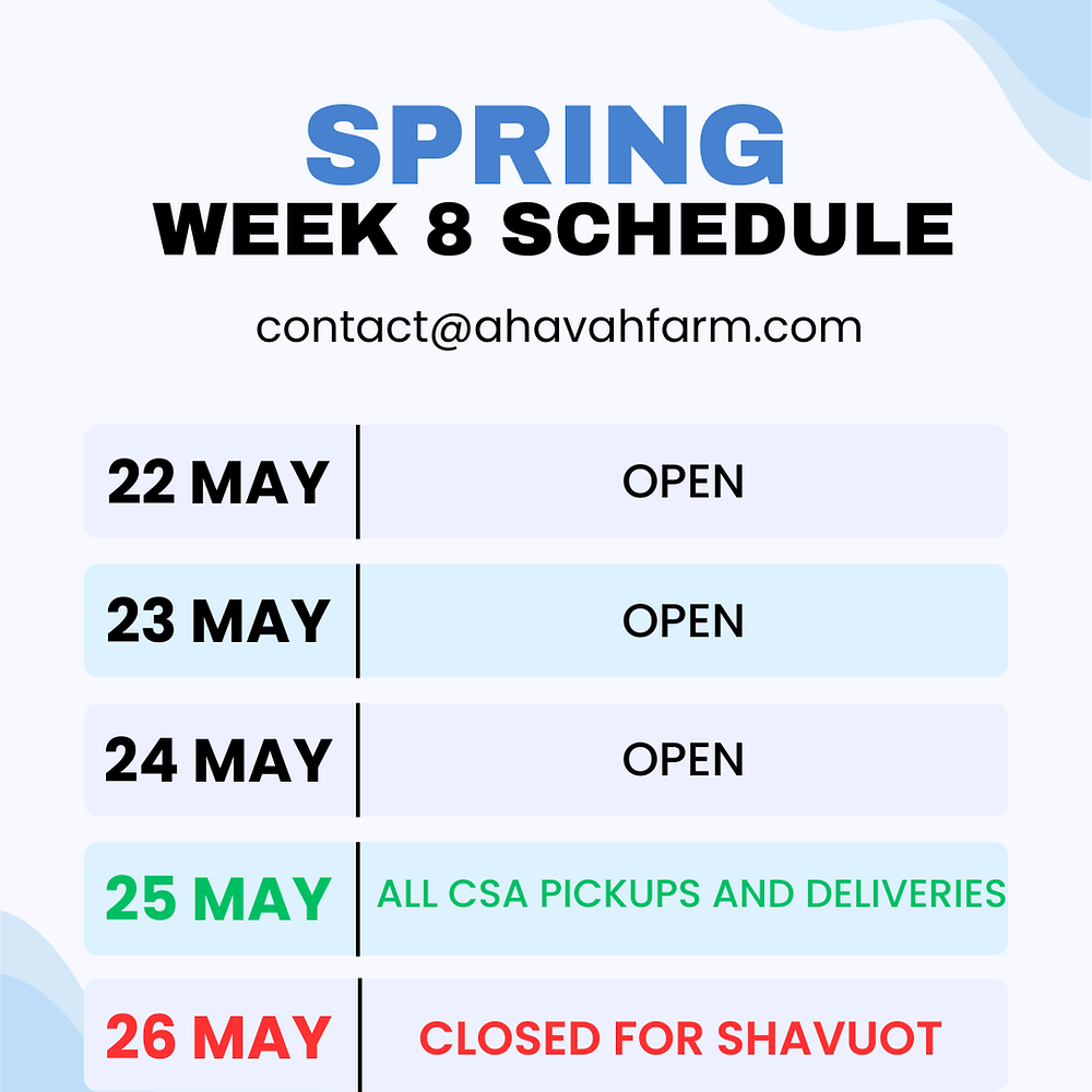 📅Schedule change for next week!