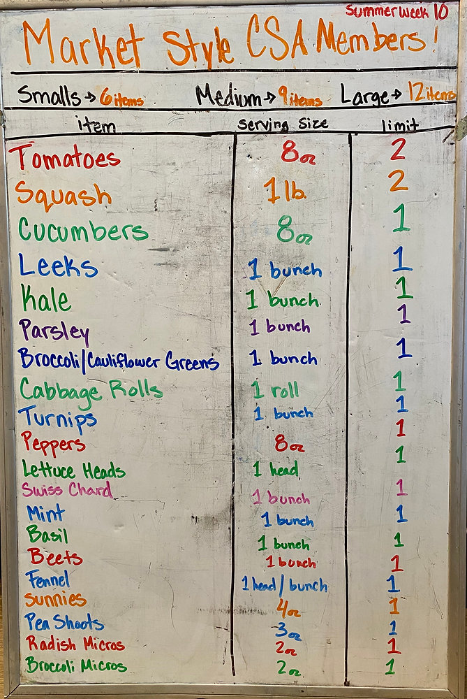 Summer Week 10 Packing List & Extras