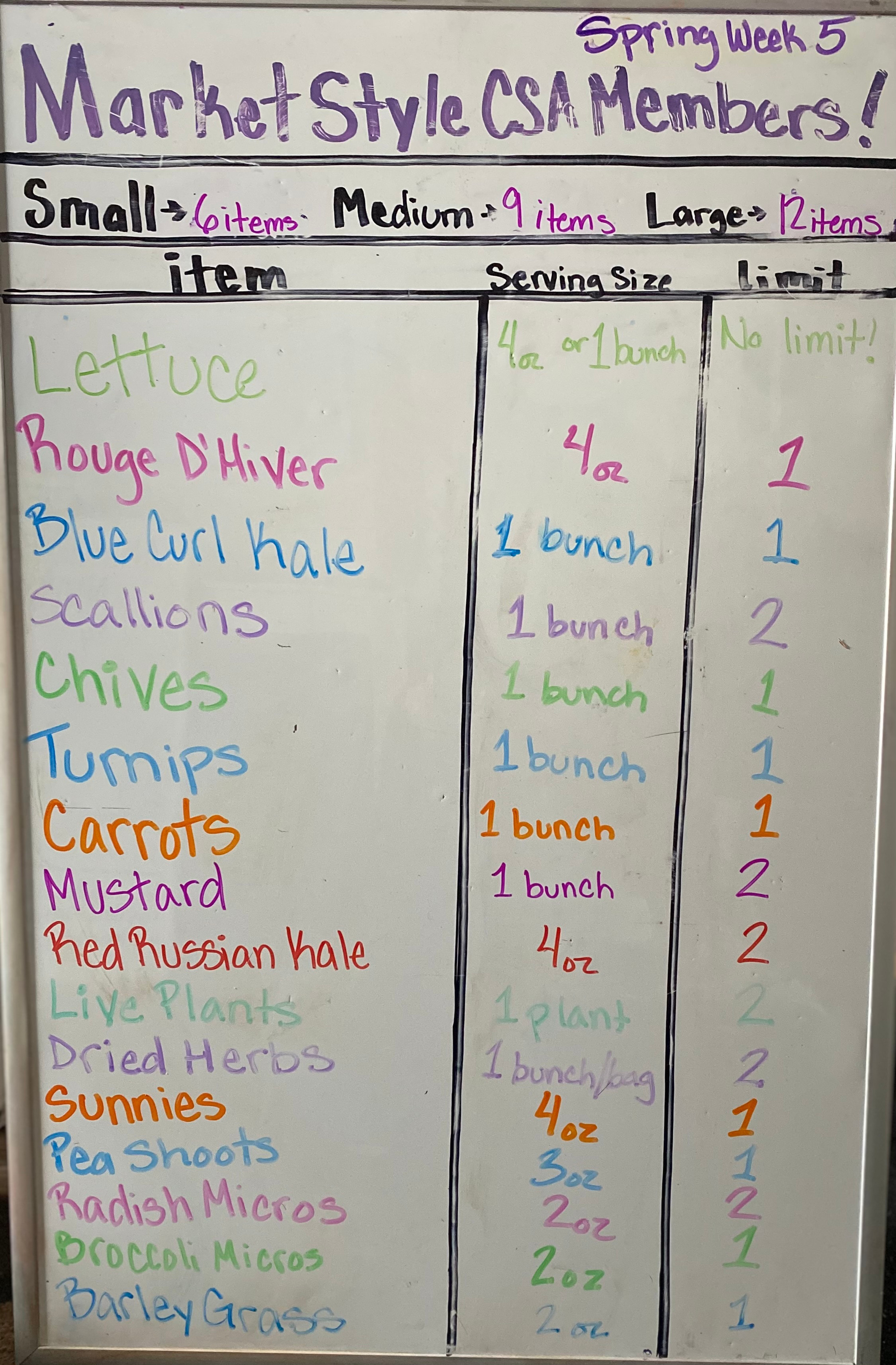 Weekly CSA Update & Harvest List