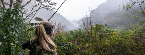 All Products | Wild Chix