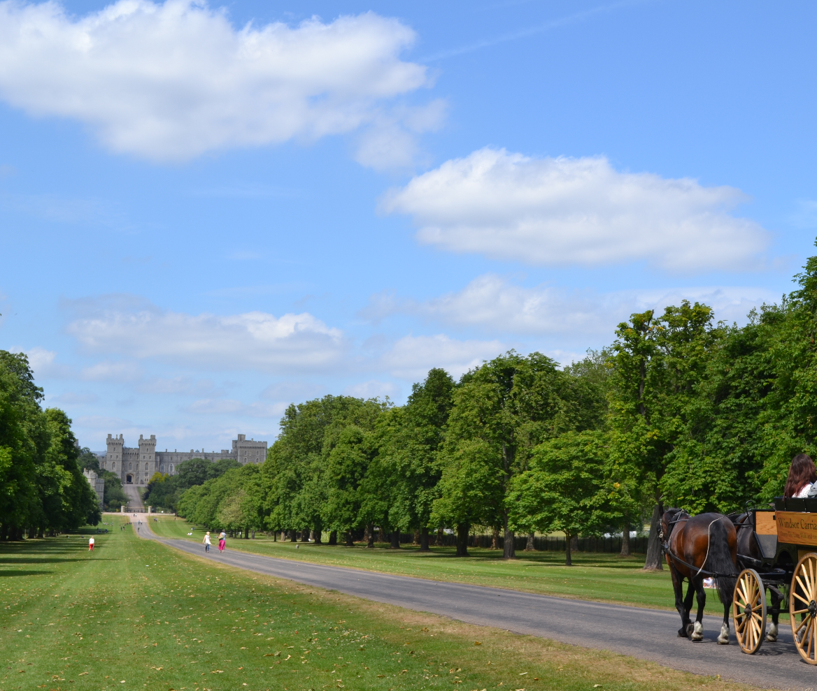 Tours of Windsor Great Park