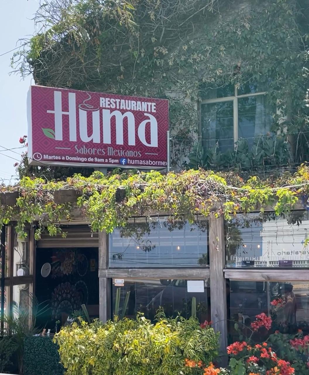 Huma: un lugar para comer acompañado de la naturaleza