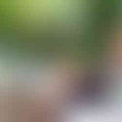 Cassandra Harper Fashion