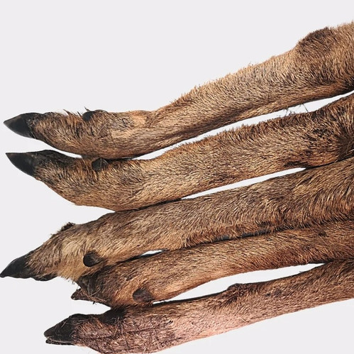 Venison Legs | Ted's Tasties