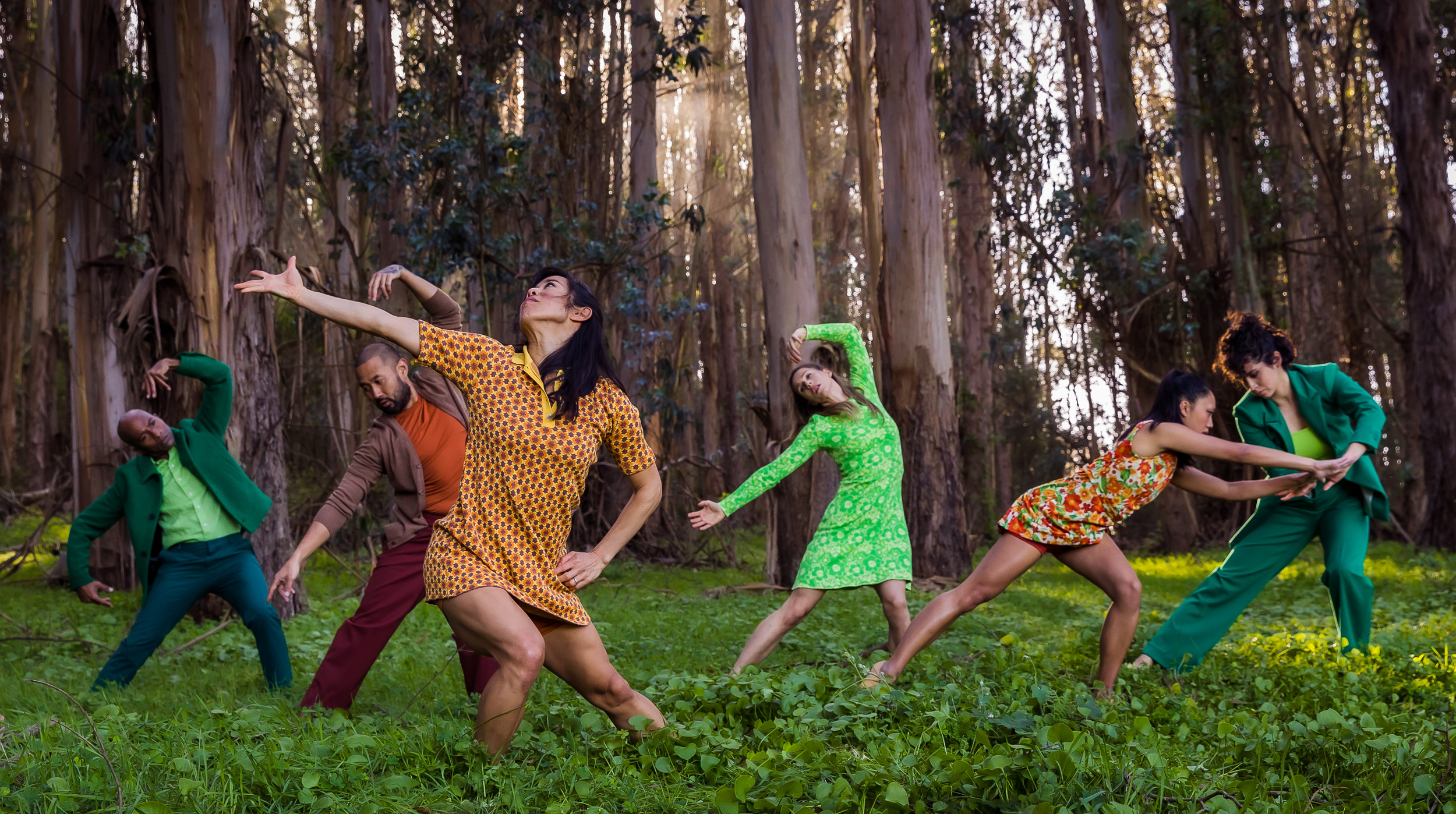 50th COLLABORATORS | mjdc